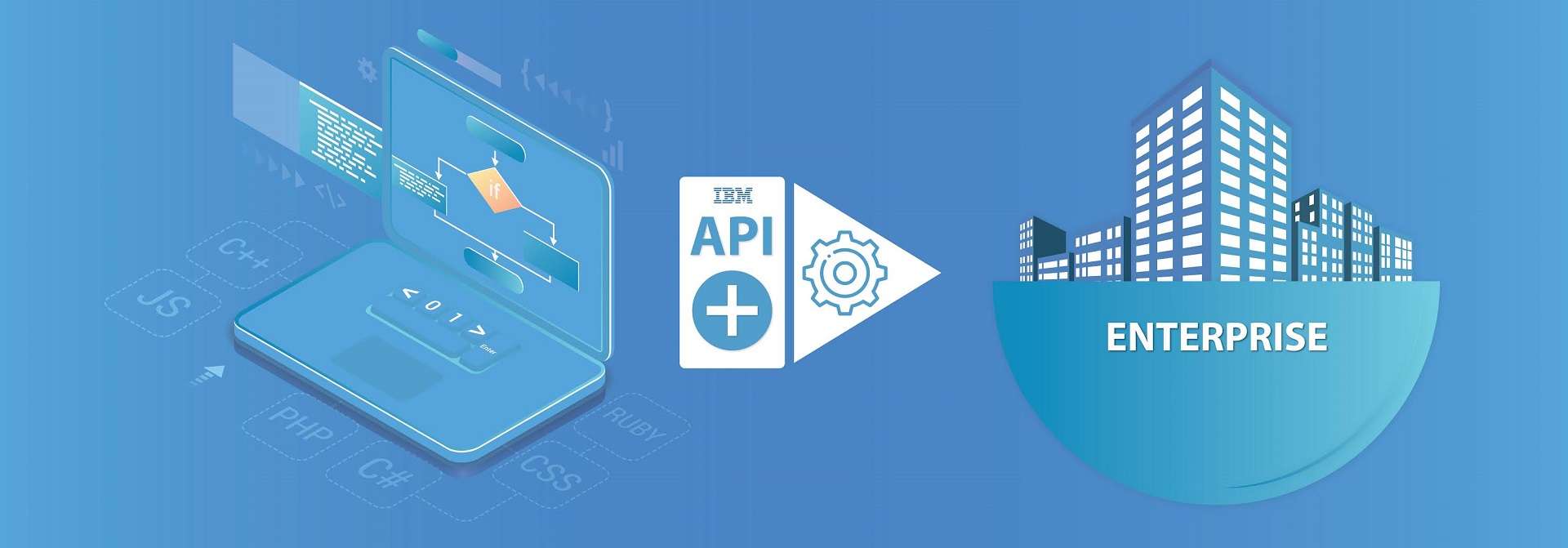 IBM API Connect for Website | API Connect | IBM API Management